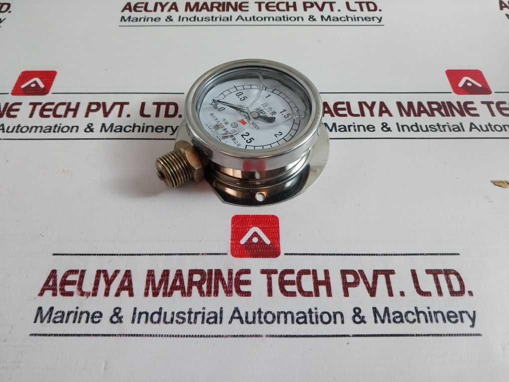 Taixing Dahua 0-2.5 Mpa Pressure Gauge – Aeliya Marine
