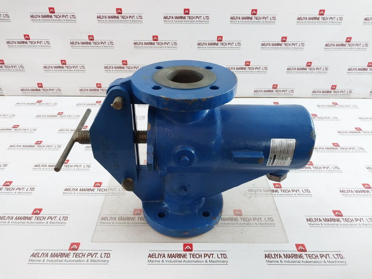 Celeros Flow Technology Sxcs-0300A1-v Simplex Type S Single Basket Str ...