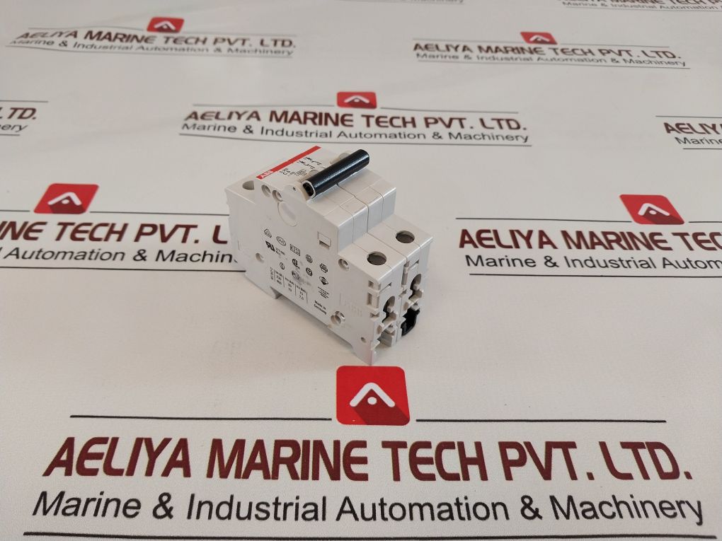 Abb S202-c6 2-pole Circuit Breaker 277/480Va.C. – Aeliya Marine