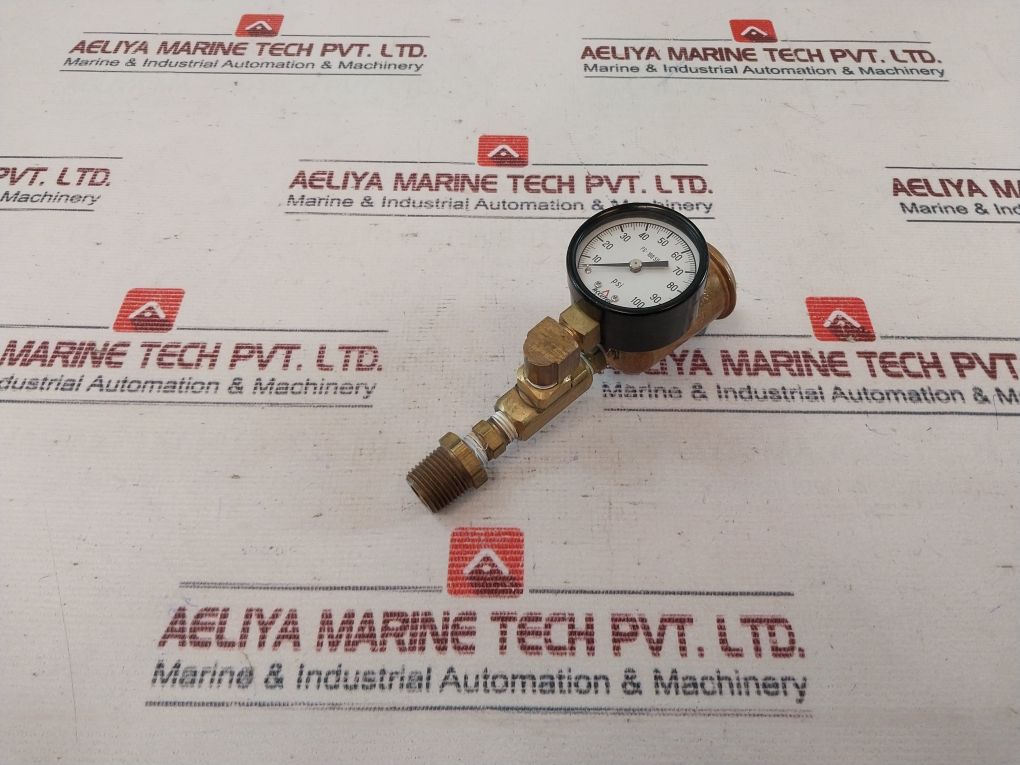 Accutek Pg-100 Sd 2 Pressure Gauge And Air Eliminator Assembly – Aeliya ...
