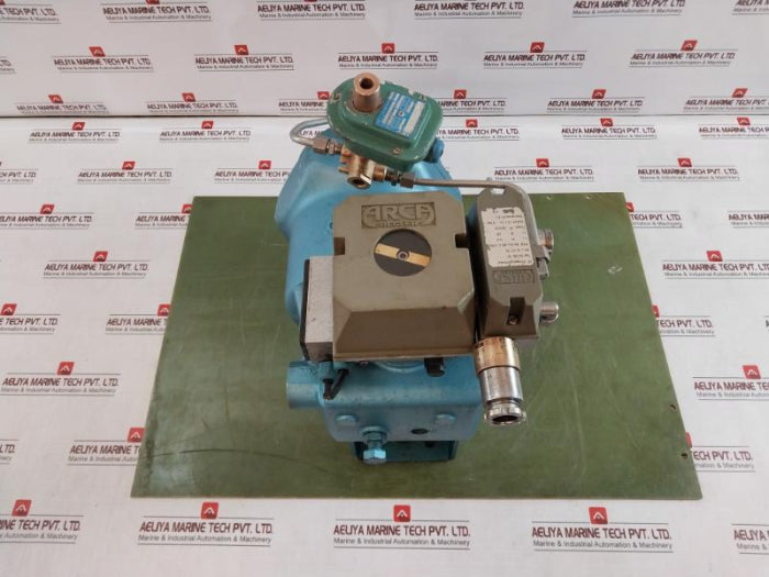 Arca-regler 246 538 Sensycon Control Valve 250Mm Servo Motor 842 ...