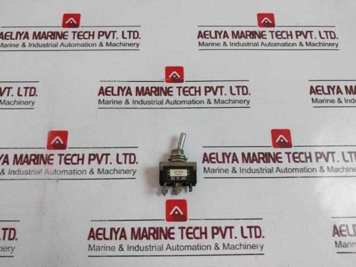 Atn01 0108 Toggle Switch 25A Ac – Aeliya Marine