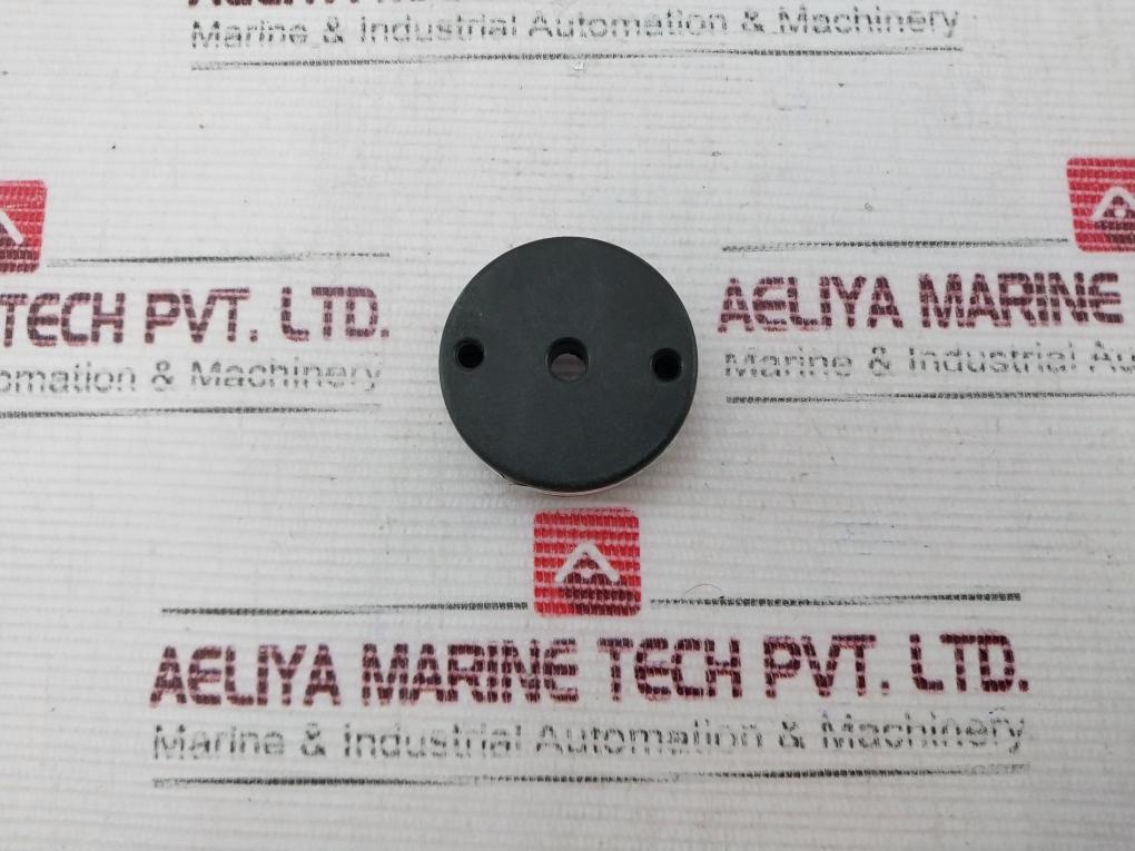 Bourdon Haenni Flex Top 2201 0002 Temperature Transmitter – Aeliya Marine