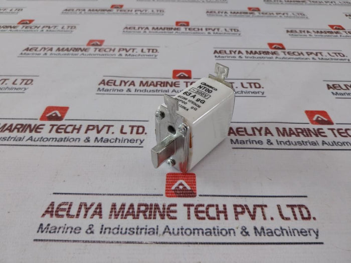 Camsco Nt00 Fuse Link 500V 63A Gg – Aeliya Marine