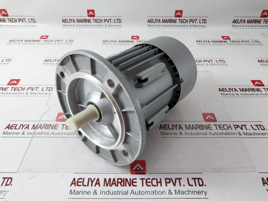 Cantoni Motor Mskh80B-4 Electric Motor – Aeliya Marine