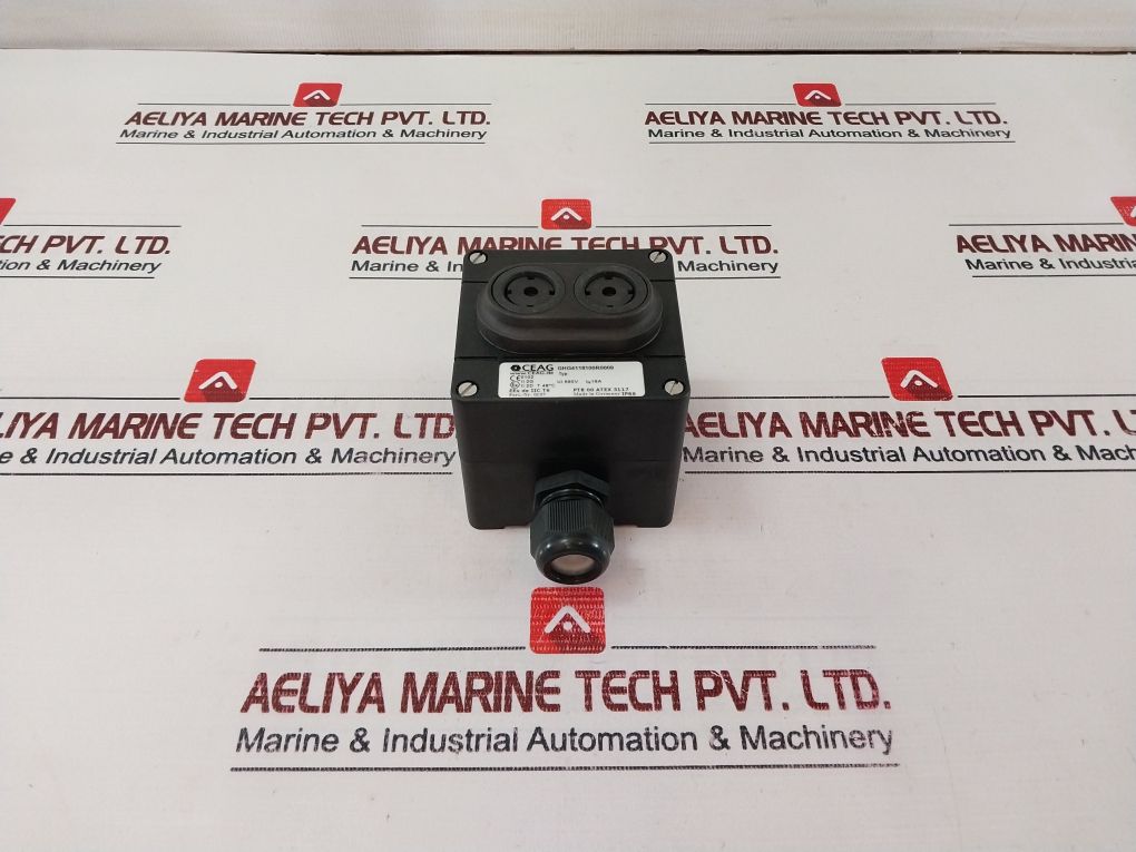 Ceag Ghg4118100R0009 Explosion-protected Control Unit 16A 690V Ip66 ...