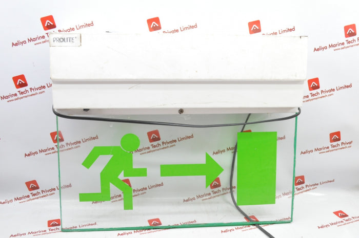 Prolite Green Emergency Exit Light Sign Board – Aeliya Marine