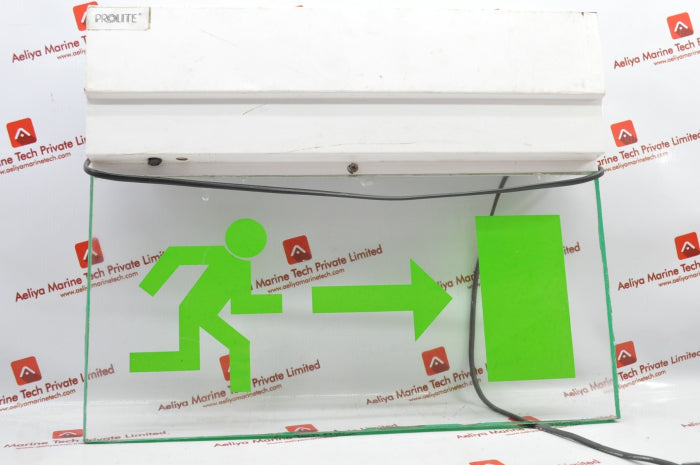 Prolite Green Emergency Exit Light Sign Board – Aeliya Marine