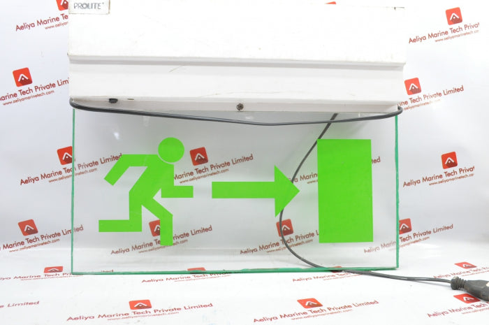 Prolite Green Emergency Exit Light Sign Board – Aeliya Marine