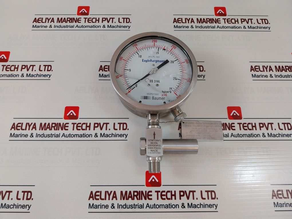 Eagleburgmann Ss 316L Pressure Gauge – Aeliya Marine