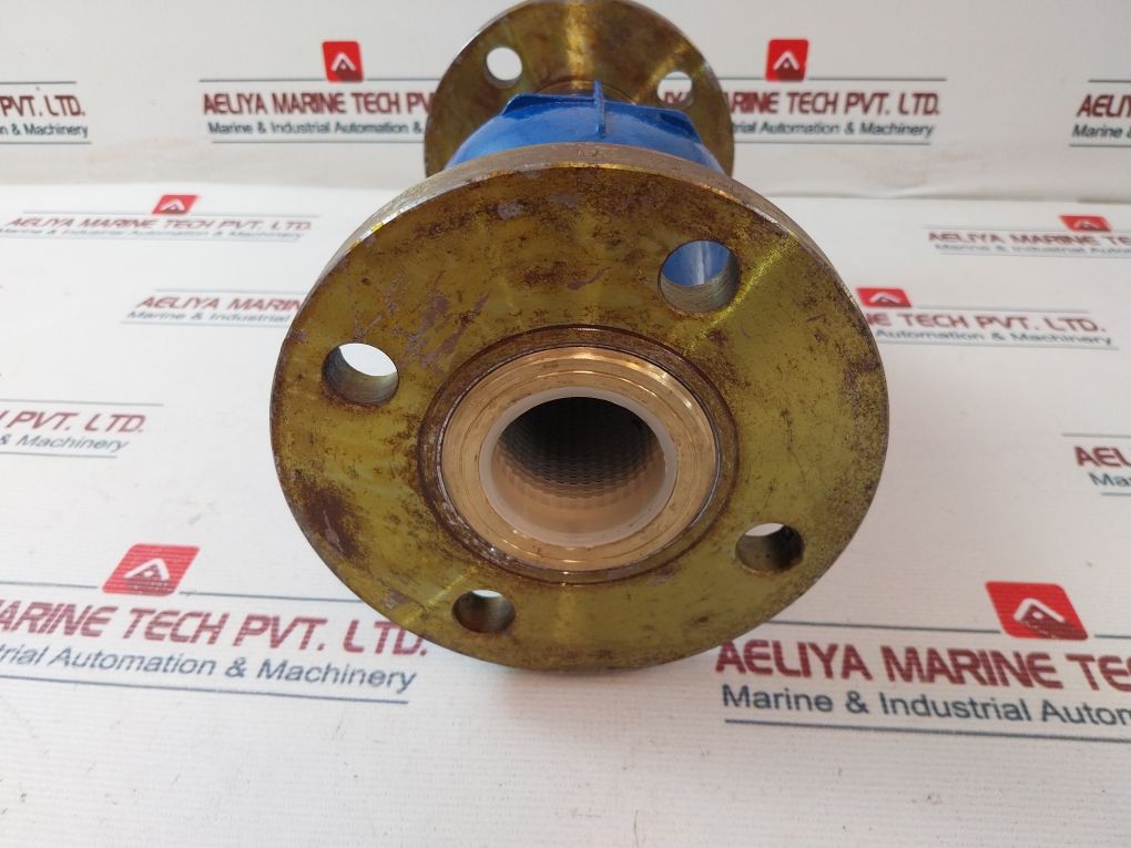 Econosto Fig 8210 Flow Meter (Water Meter) 2" Pn10/Pn16 – Aeliya Marine
