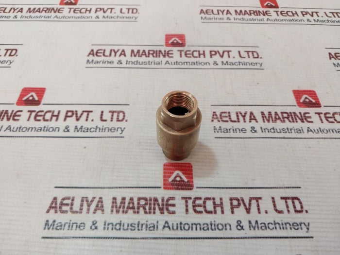 Euroblock 3/8” Npt Brass Check Valve – Aeliya Marine
