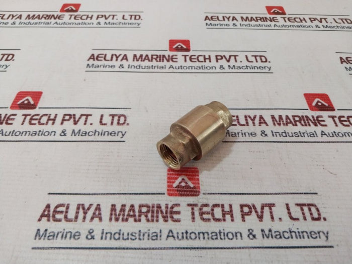 Euroblock 3/8” Npt Brass Check Valve – Aeliya Marine