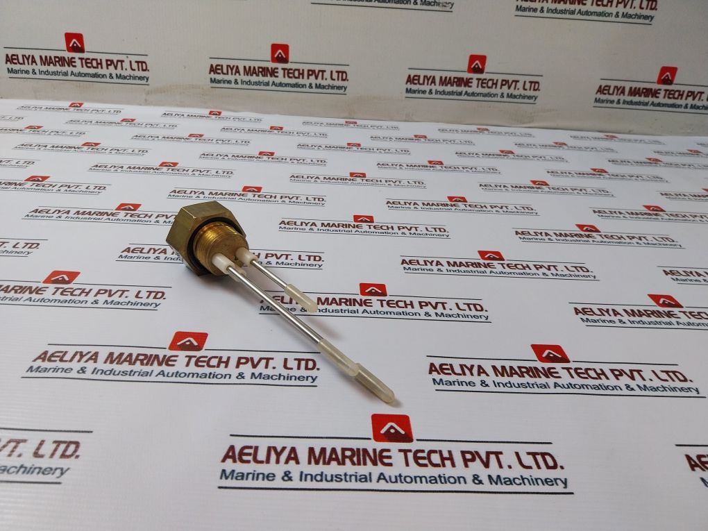 Fischer Nk06 Conductive Level Switch – Aeliya Marine