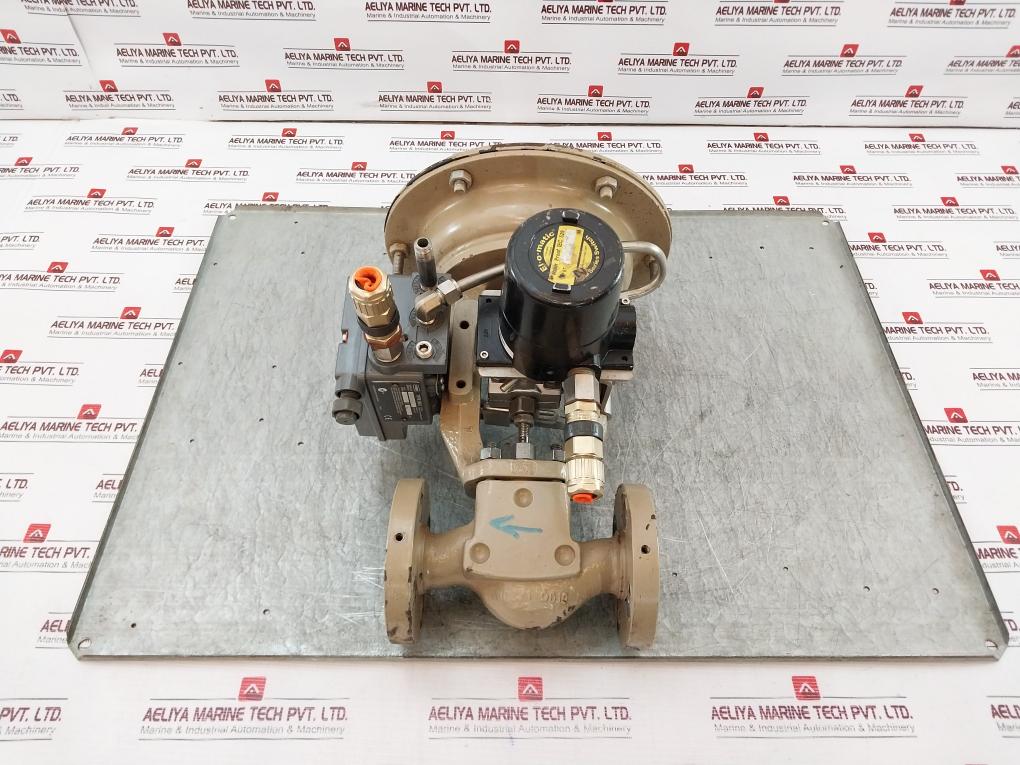 Fisher 3661 Valve Positioner Series 3660 4-20Madc 1/4-18 Npt Ip67 ...