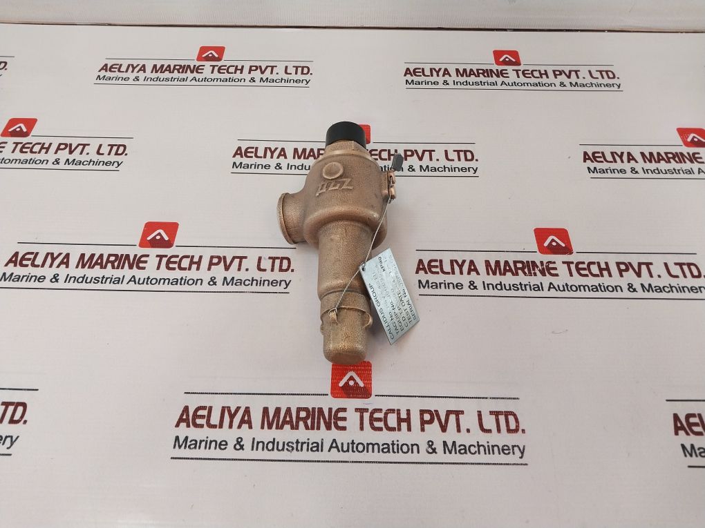 Fukui Fb4X Pop Safety Valve 9.9 Bar – Aeliya Marine