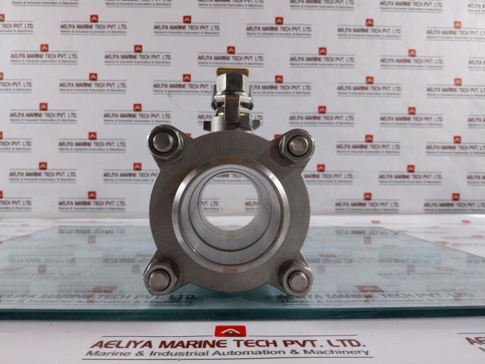 Haitima Gs Hydro Dn65 Pn63 Max. 200°C Industrial Valve – Aeliya Marine