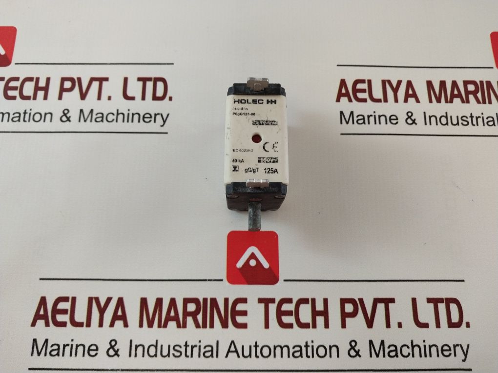 Holec Hh P6Gg125-00 Fuse – Aeliya Marine