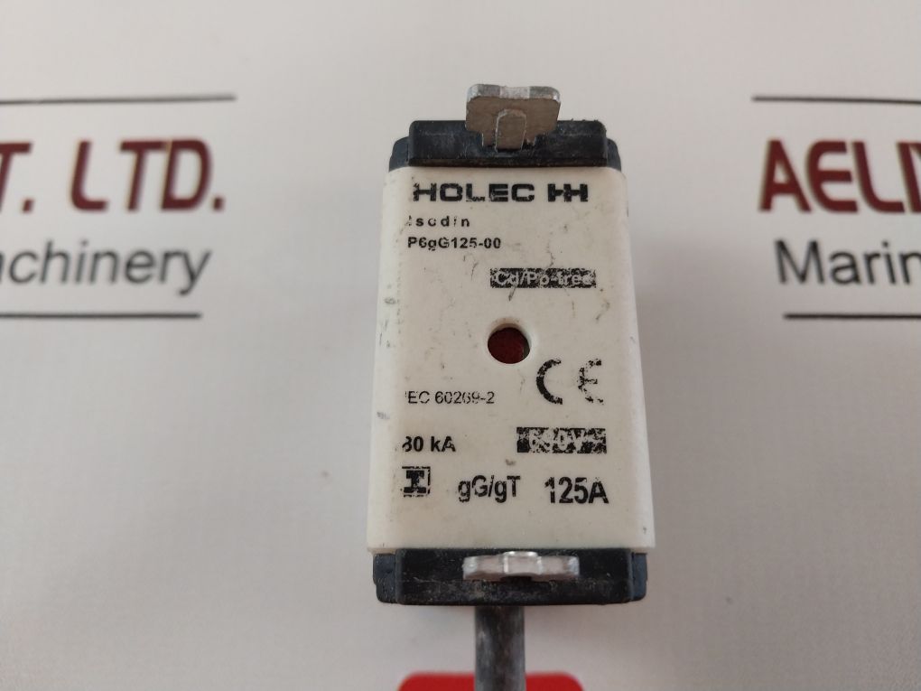 Holec Hh P6Gg125-00 Fuse – Aeliya Marine