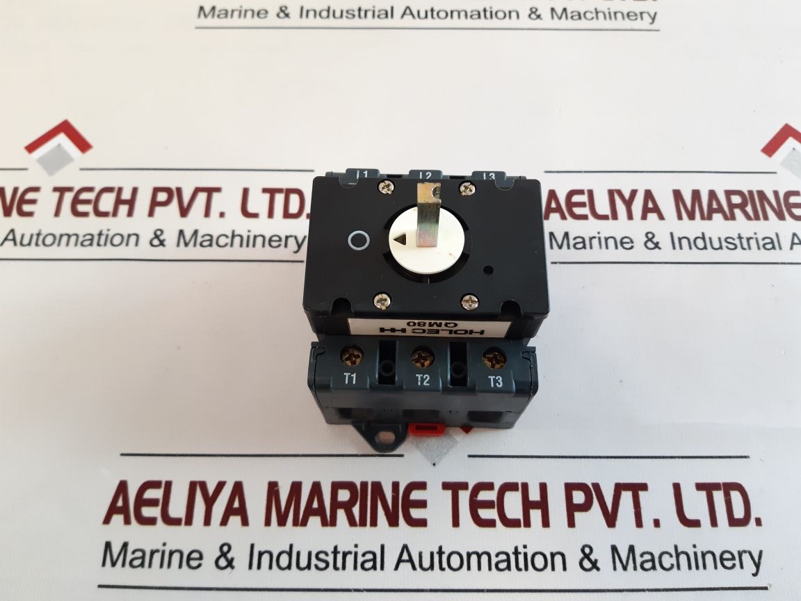 Holec Hh Qm 80 Switch-disconnector 42028 – Aeliya Marine