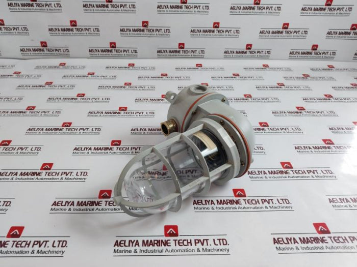 Hubbell Occ-100 Incandescent Ceiling Mount With Tempered Globe And Gua ...