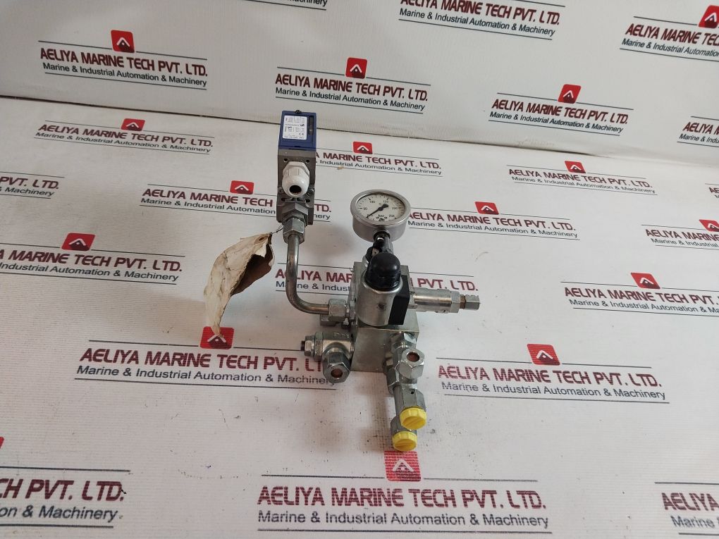 Hydac 3154855 Valve Gauge With Pressure Switch Ip67 – Aeliya Marine