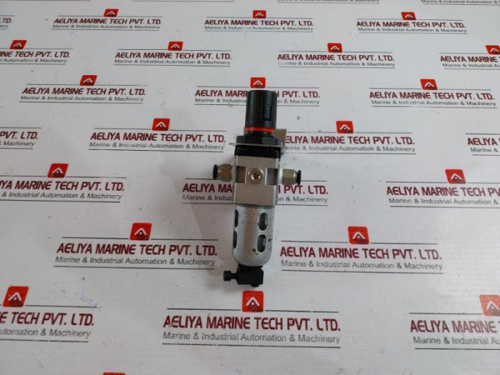 Janatics Frc136134 Fully Automatic Filter Regulator, 0-150 Psi – Aeliya ...