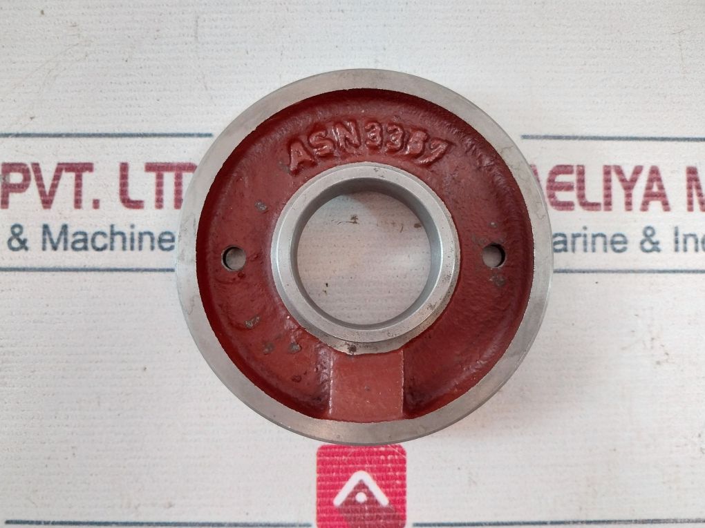 Johnson Asn3367 Wear Plate G1 – Aeliya Marine