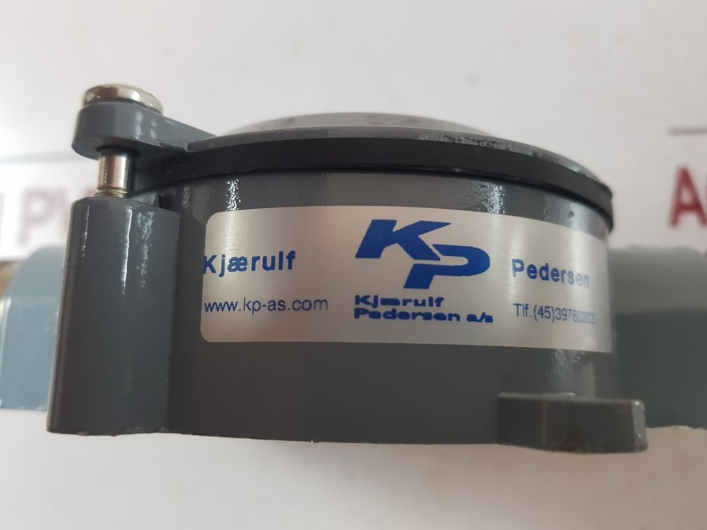 Kjaerulf Pedersen 1Xpt100 Sensor – Aeliya Marine