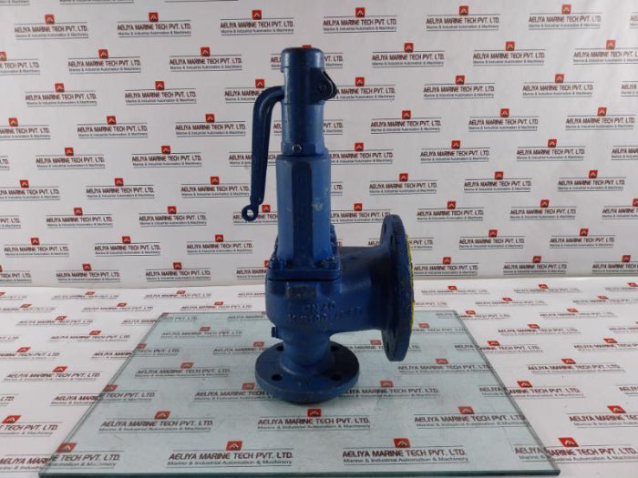 Leser Tuev-sv Pressure Relief Valve 11 Bar – Aeliya Marine
