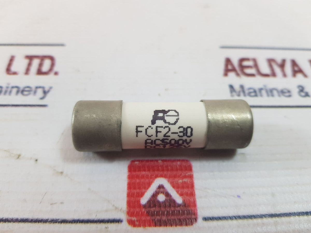 Fuji Electric Fcf2-30 Fuse Link 300V 30A – Aeliya Marine