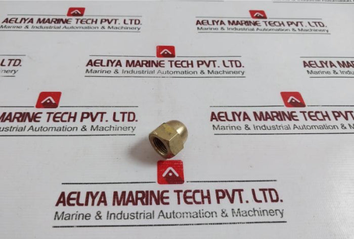 Lyco 21 Impeller Nut For Pump Model 32/20 Brass Shockers Dome – Aeliya ...