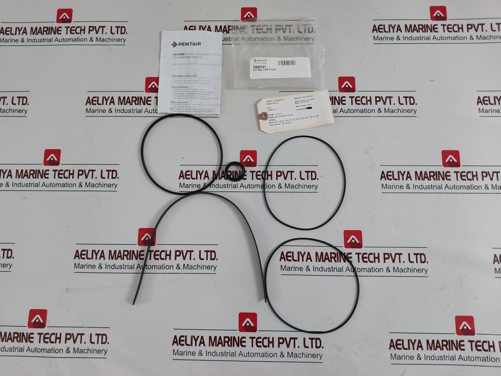 Pentair 2009141 Seal Valve Kit – Aeliya Marine