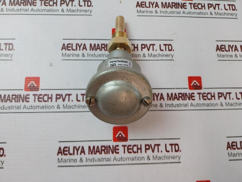 Pentronic 0490-23120 Temperature Sensor – Aeliya Marine