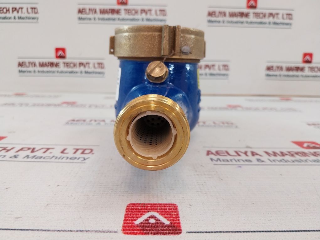 Pulsafeeder Mtr300 Inline Mechanical Flowmeter – Aeliya Marine