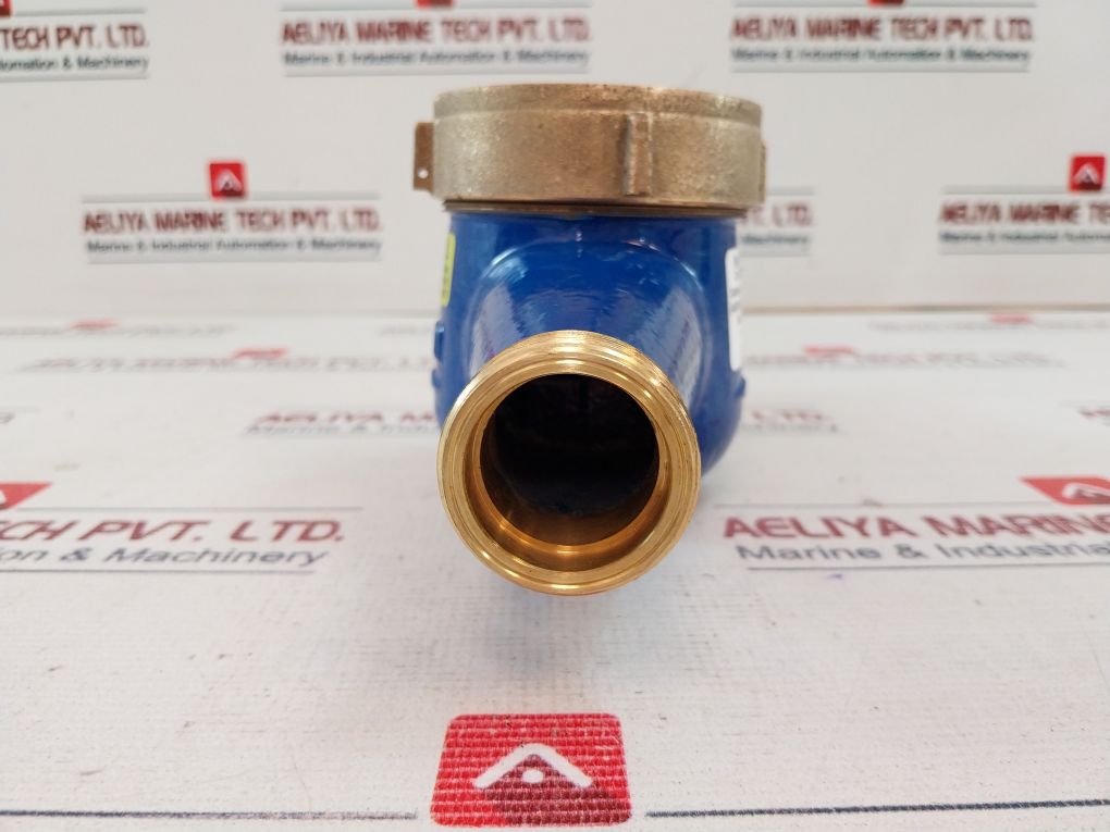 Pulsafeeder Mtr300 Inline Mechanical Flowmeter – Aeliya Marine