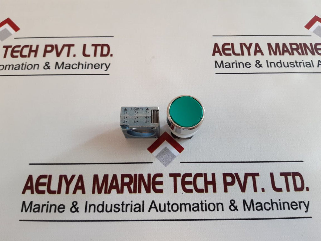 Quincy 146102-001 Push Button Momentary Green – Aeliya Marine