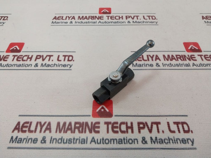 Rötelmann Dn 6 1/4 Bsp Valve – Aeliya Marine