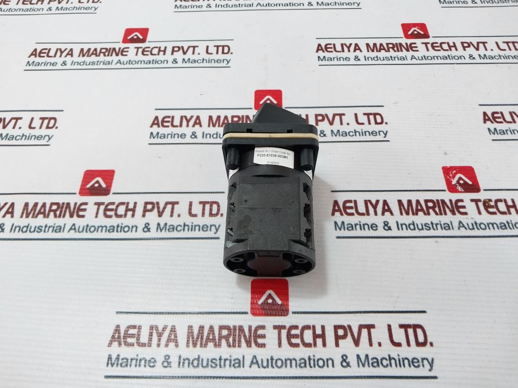 Salzer P220-61038-a01 Rotary Cam Switch 20A 300Vac – Aeliya Marine