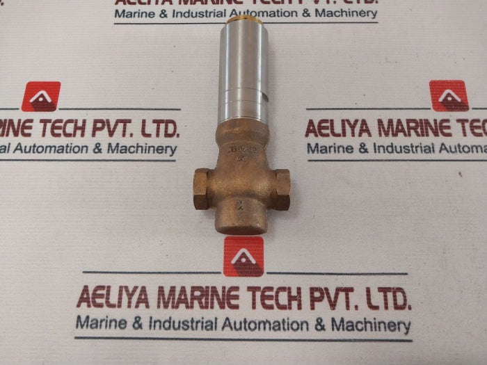 Samson 2435 k self-operated temperature regulator – Aeliya Marine