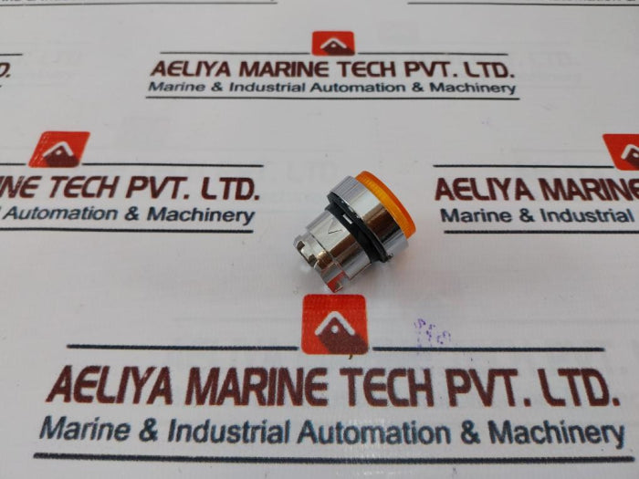 Schneider Electric Zb4 Bw15 Illuminated Push Button – Aeliya Marine