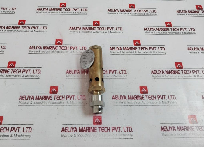 Seetru-bristol Tuv Sv 06 622.96 Safety Relief Valve 3.1 Mpa – Aeliya Marine