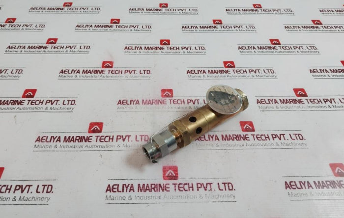 Seetru-bristol Tuv Sv 06 622.96 Safety Relief Valve 3.1 Mpa – Aeliya Marine