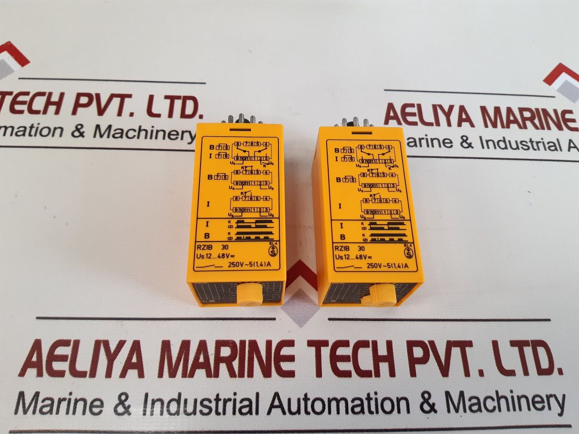 Selectron Rzib 30 Time Relay – Aeliya Marine