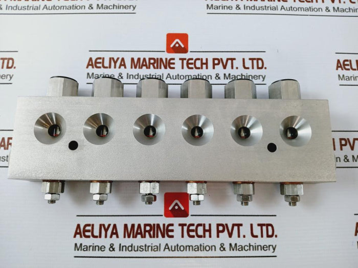 Skf Vogel 242-065.20 Metering Device With Restrictors 21027993 – Aeliya ...