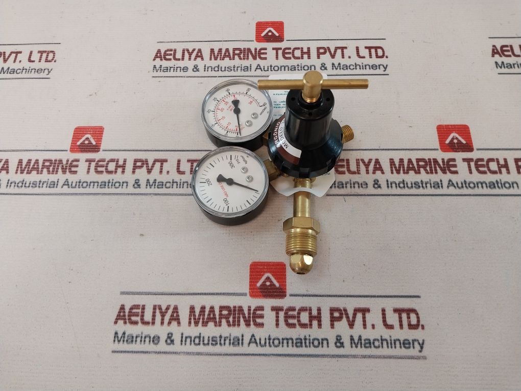 Sm Industria 300 Pressure Regulator – Aeliya Marine