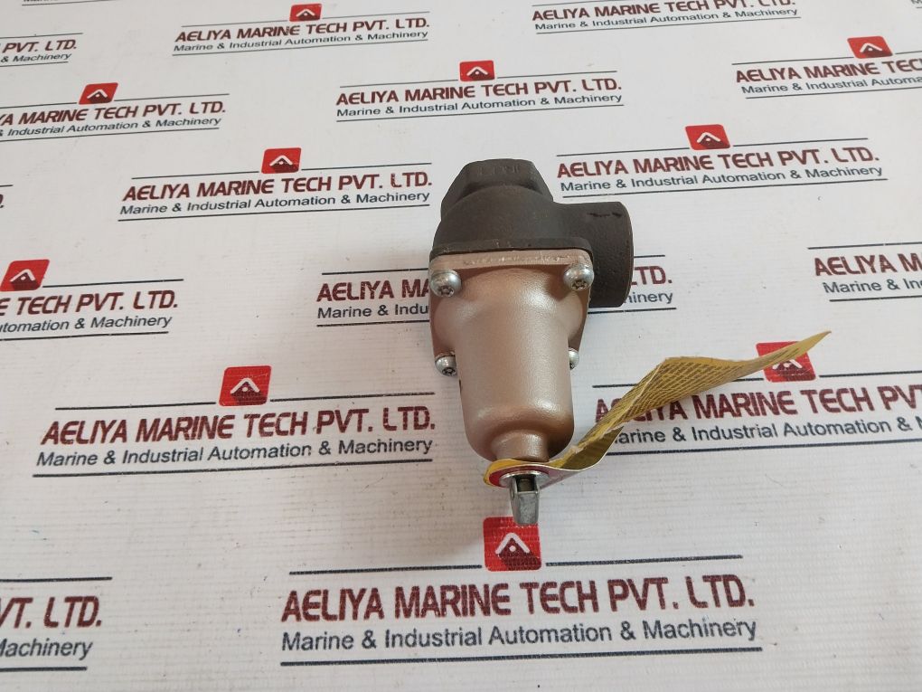 Watts 174A Safety Relief Valve Tag 174A 9407 – Aeliya Marine