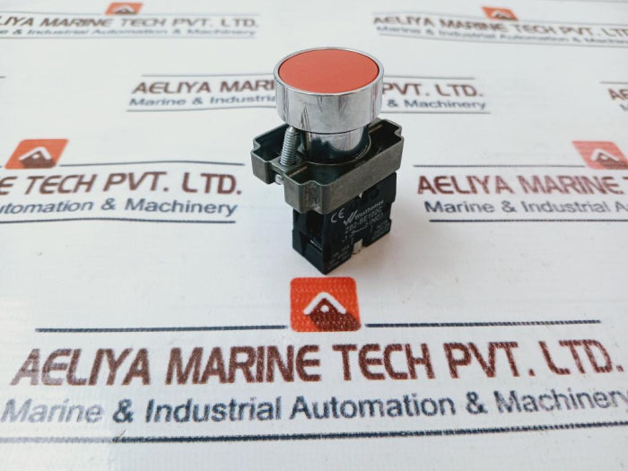 Westhomes Xb2-ba42 Self-reset Flush Push Button Switch 10A 600V – Aeliya Marine